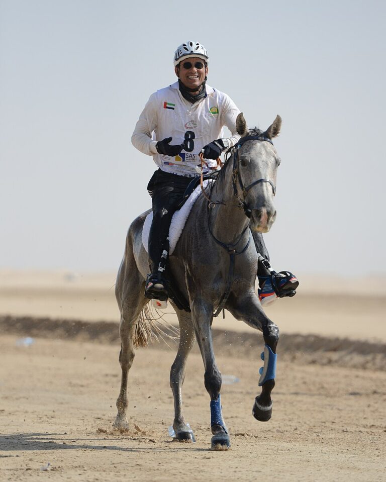 Endurance Racing Strategy: A Comprehensive Guide for 2026 Competitions ...